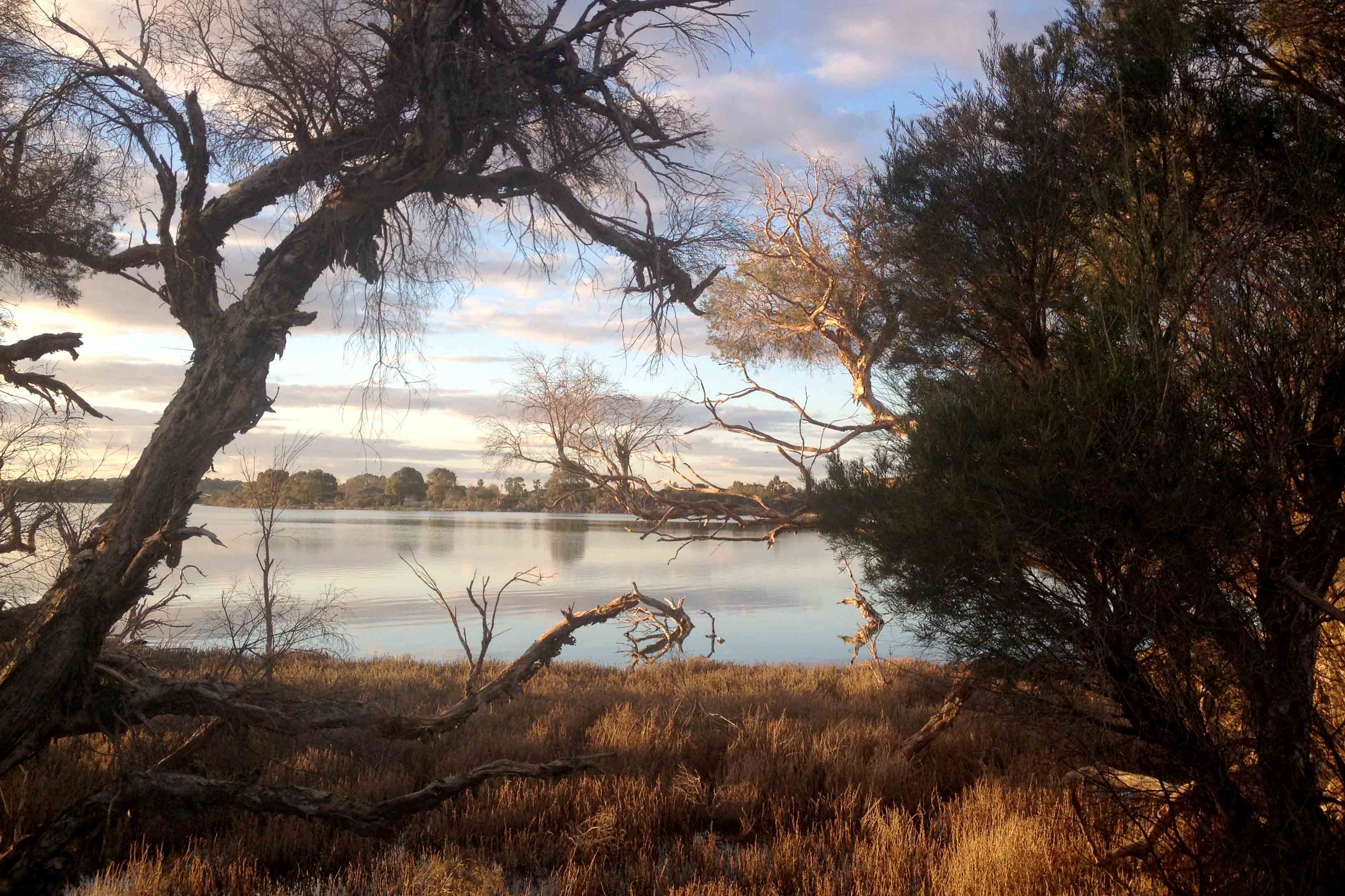 About Us | Wetlands Conservation Society of Western Australia Inc.