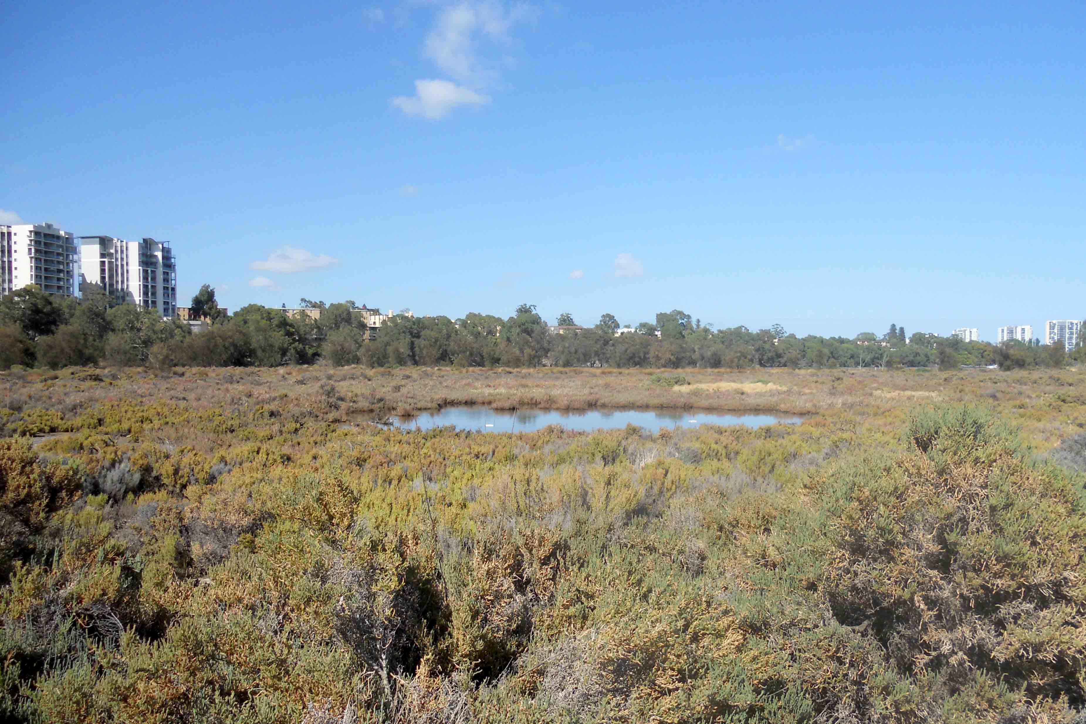 Publications | Wetlands Conservation Society of Western Australia Inc.