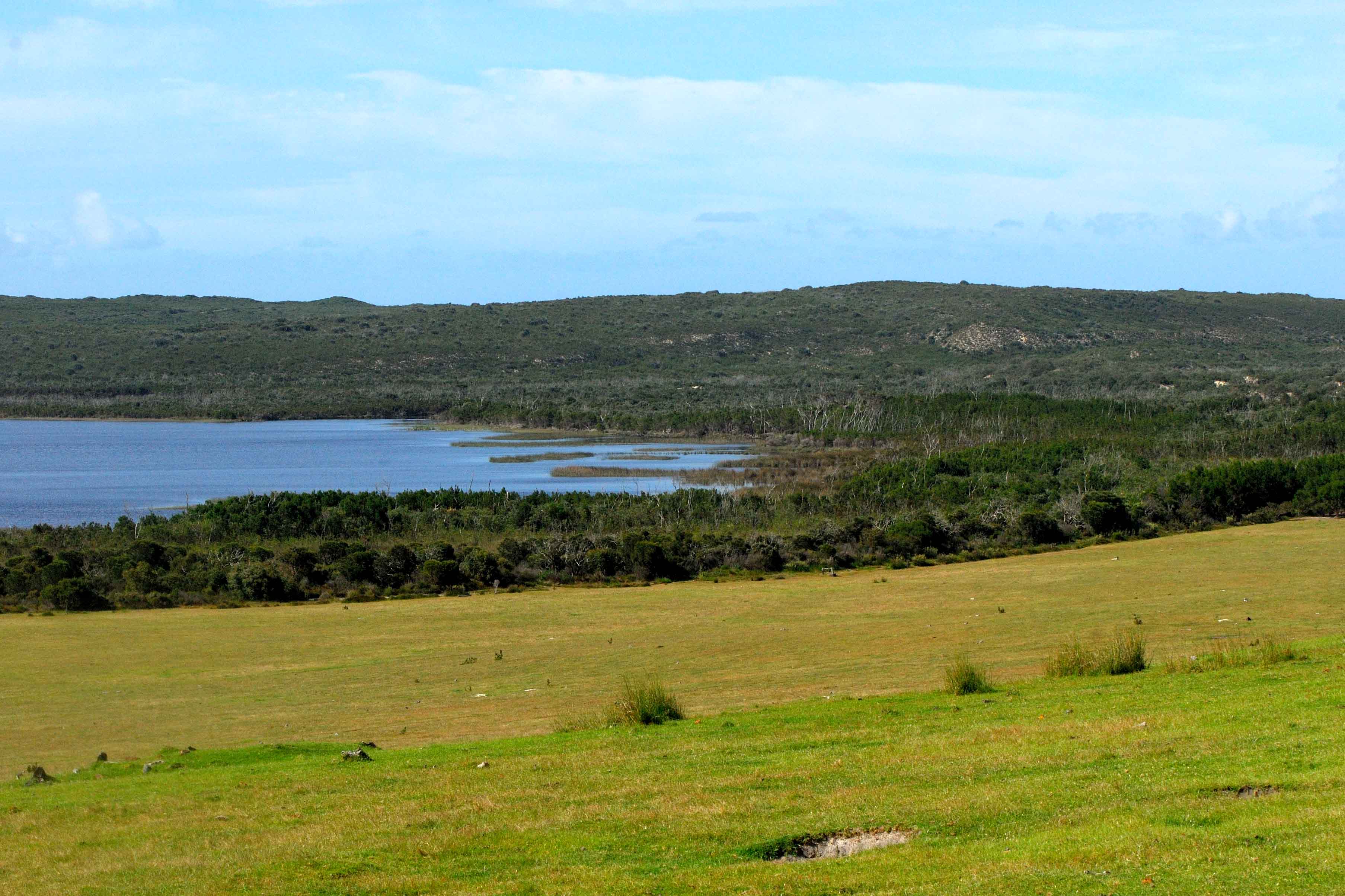 Publications | Wetlands Conservation Society of Western Australia Inc.