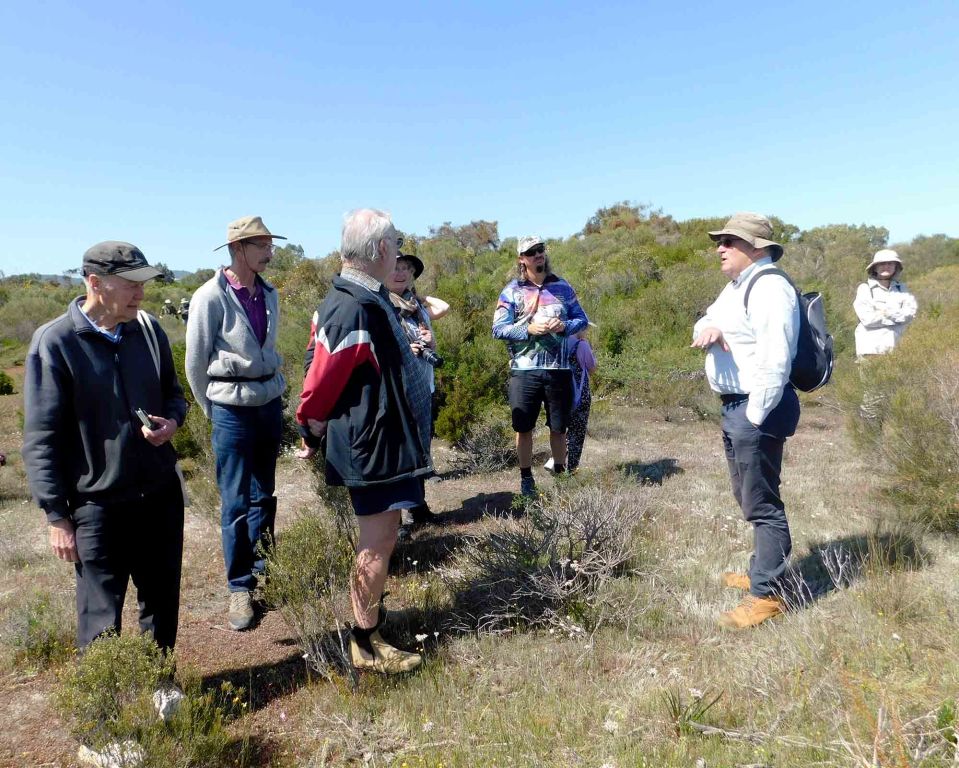 Activities | Wetlands Conservation Society of Western Australia Inc.
