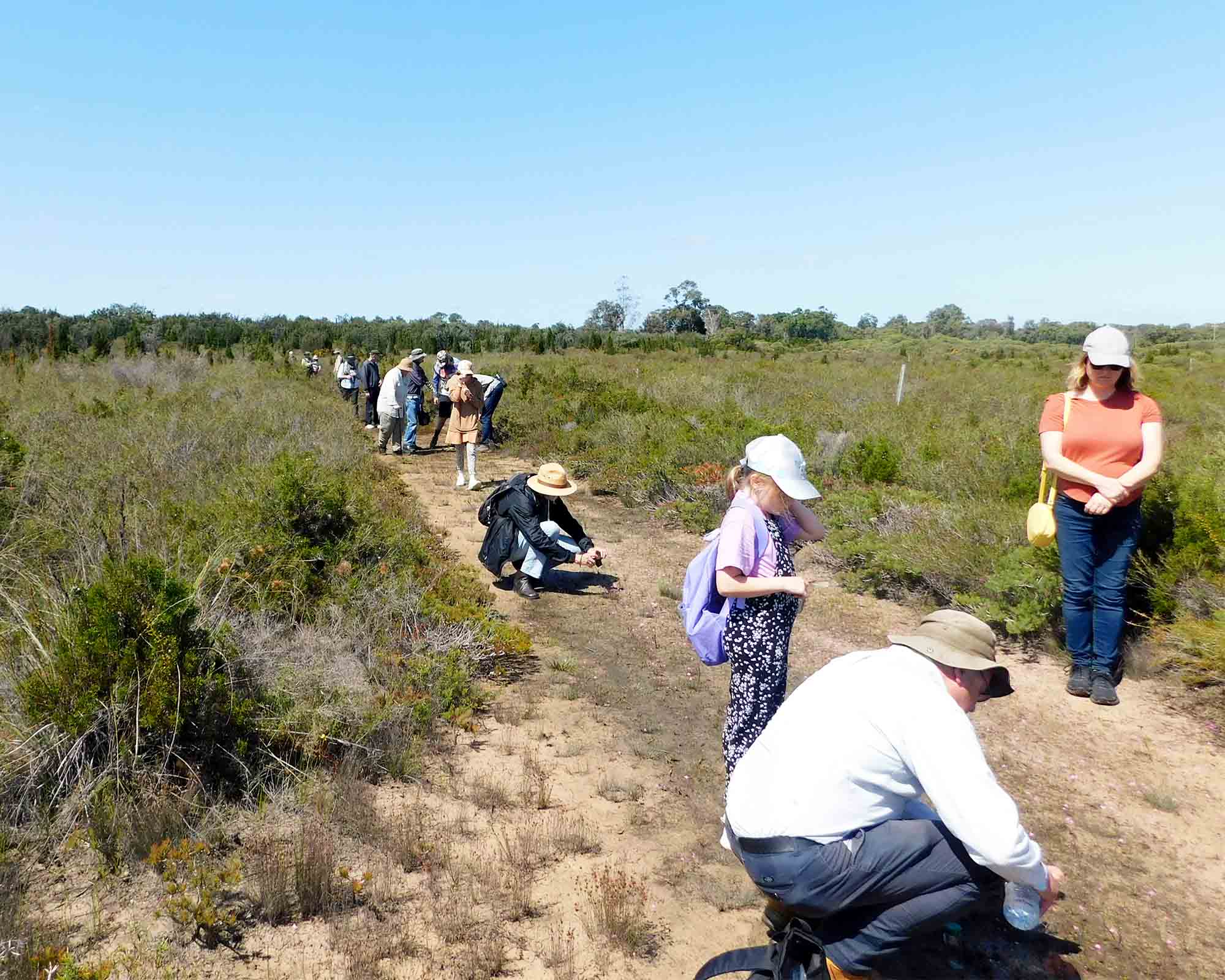 Activities | Wetlands Conservation Society of Western Australia Inc.
